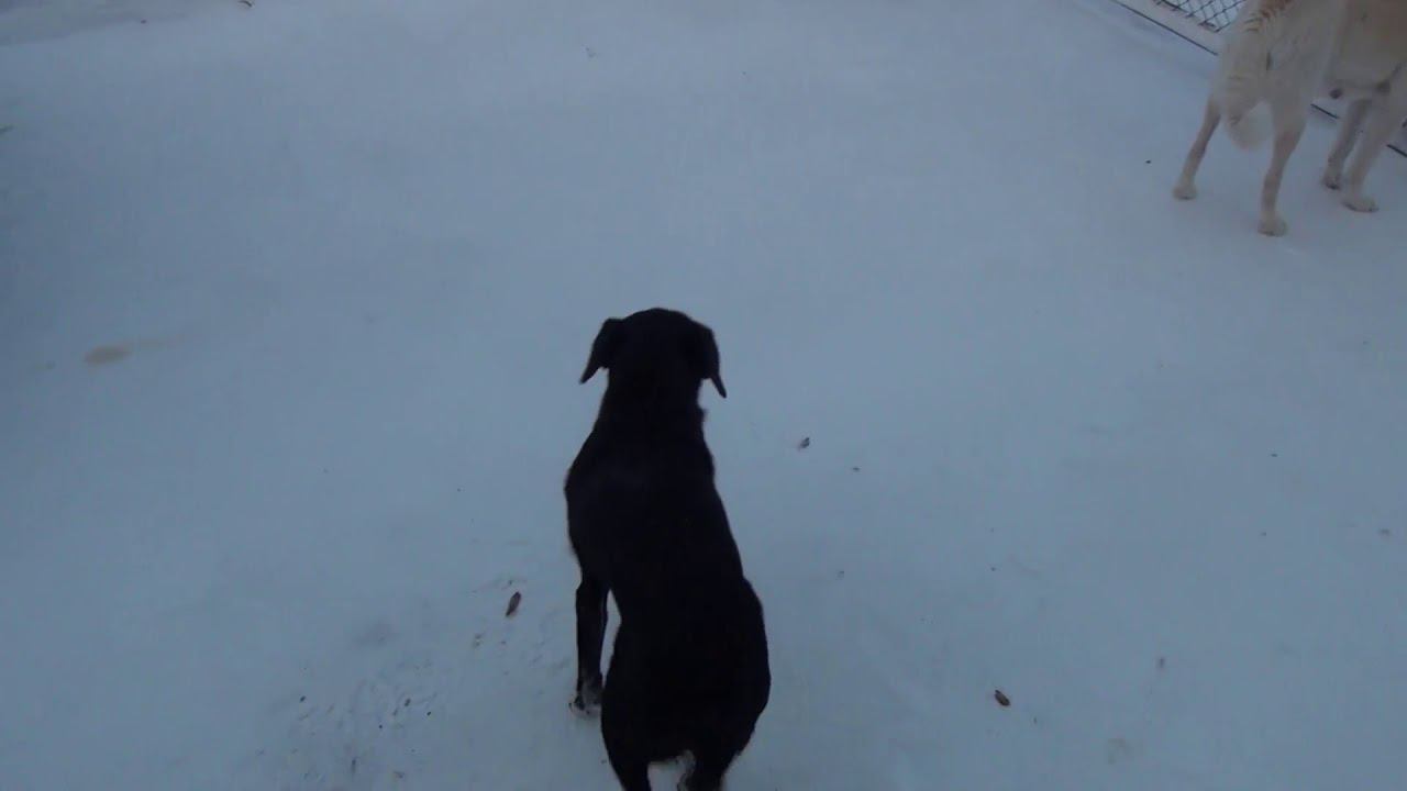 Наши малыши(2)