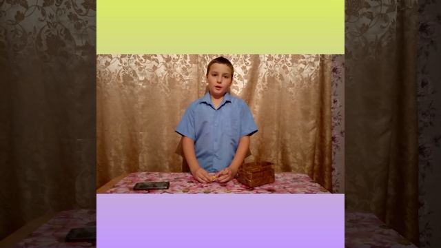 Терешин Андрей, 8 лет, номинация "У наших ворот всегда хоровод"