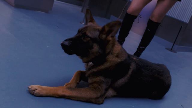 Red Velvet — WILDSIDE