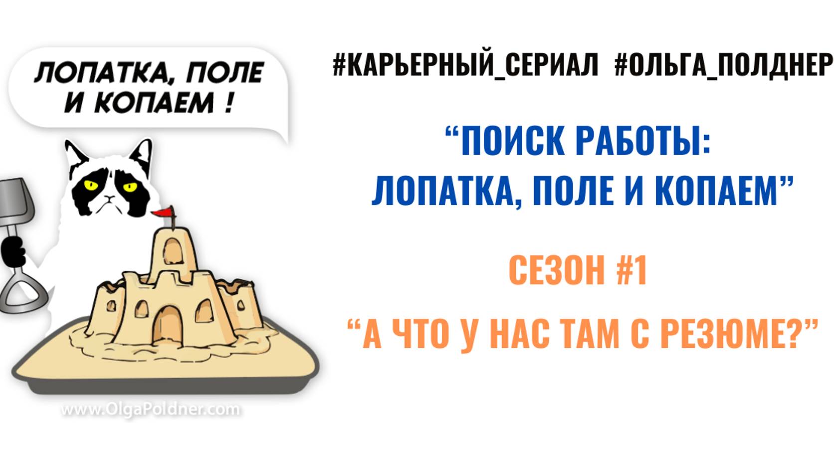 ДИРЕКТОР ПО ПРОДАЖАМ: Видео разбор резюме кандидата от Ольги Полднер