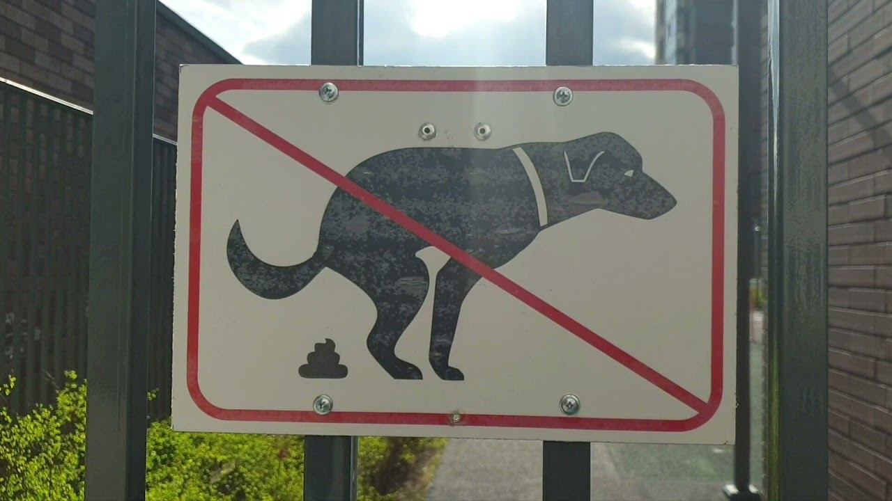 Реновация. Обзор дома по Мукомольному пр, д.2