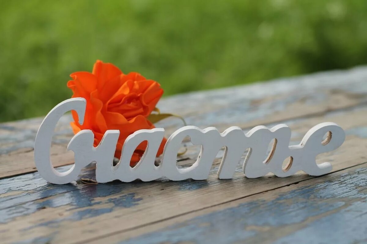 Елена Боева. Завесьте серость!