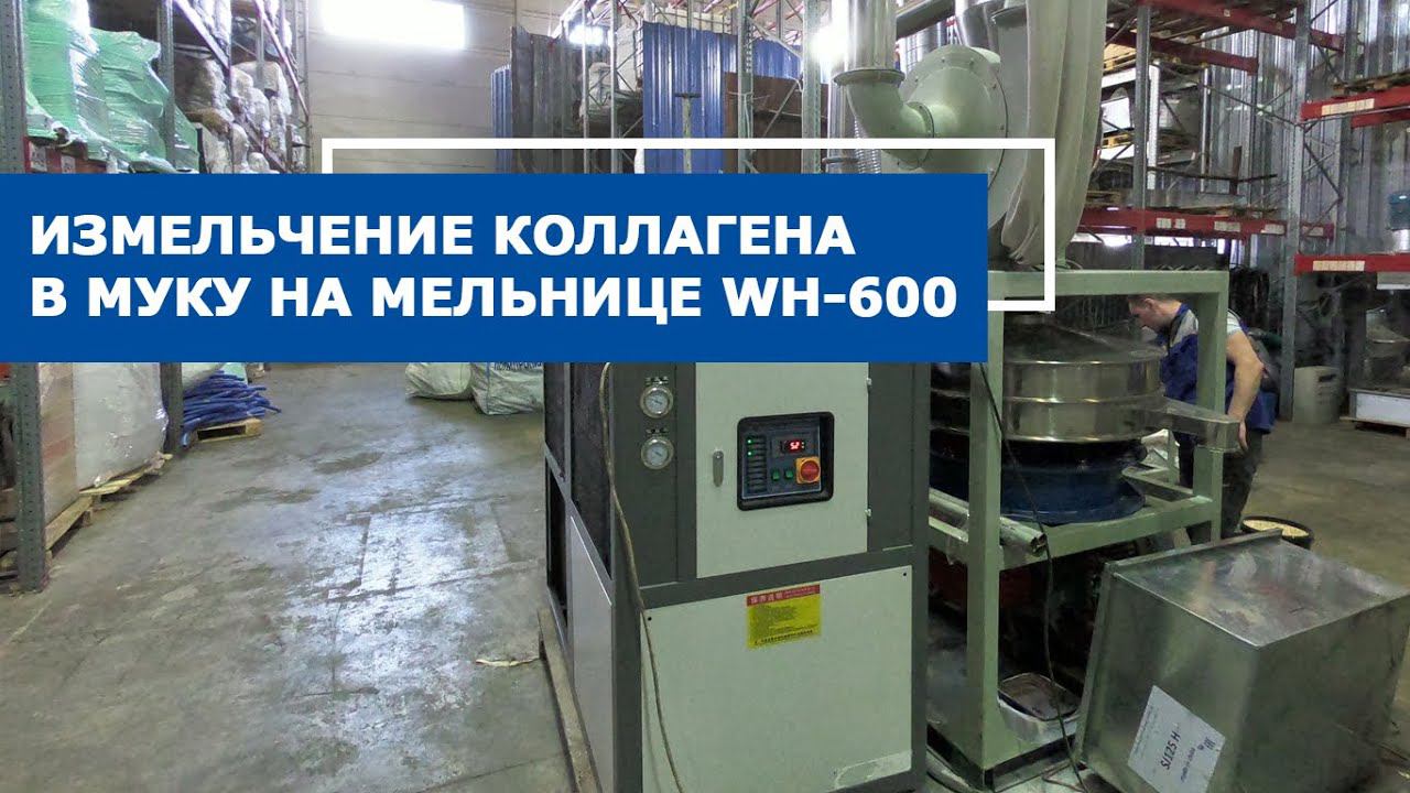 Мельница для пластика WH-600 | запуск