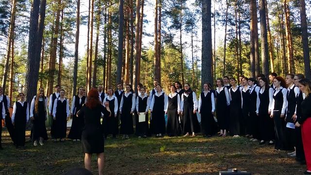 20150613_185445 Berestovo