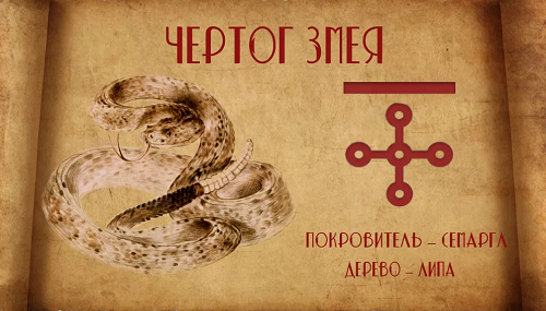 ЧЕРТОГ ЗМЕЯ * 24 НОЯБРЯ - 16 ДЕКАБРЯ