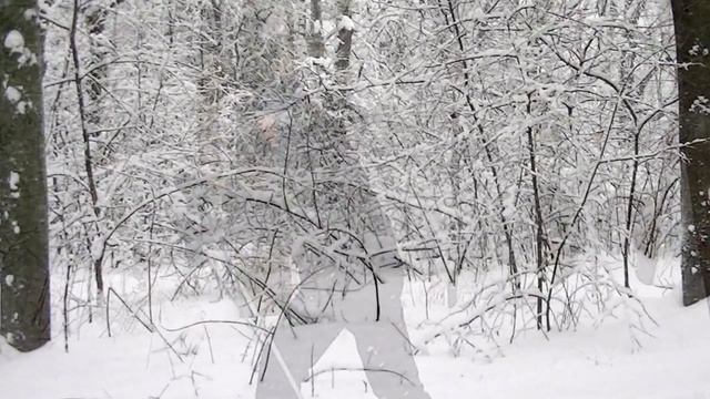 Снег накрыл Кусково