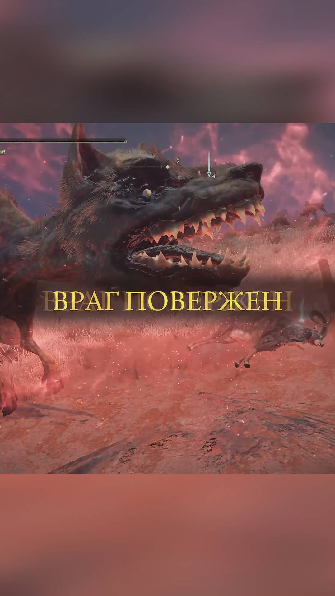 🤣 Elden Ring:  собачка догрызла Охотника за колокольными сферами