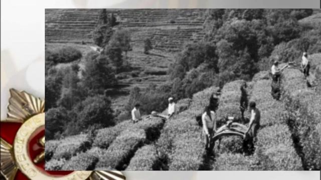 Севрюков Николай Михайлович Герой Советского Союза