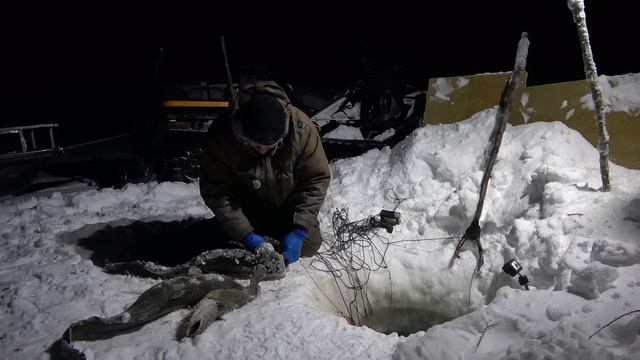 Проверка перемета 15.01.2024