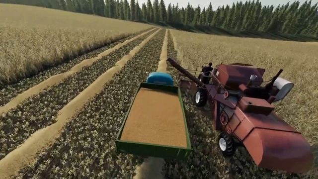 Сельские будни # 3  Фермер симулятор 19    Карта колхоз  Красная звезда .