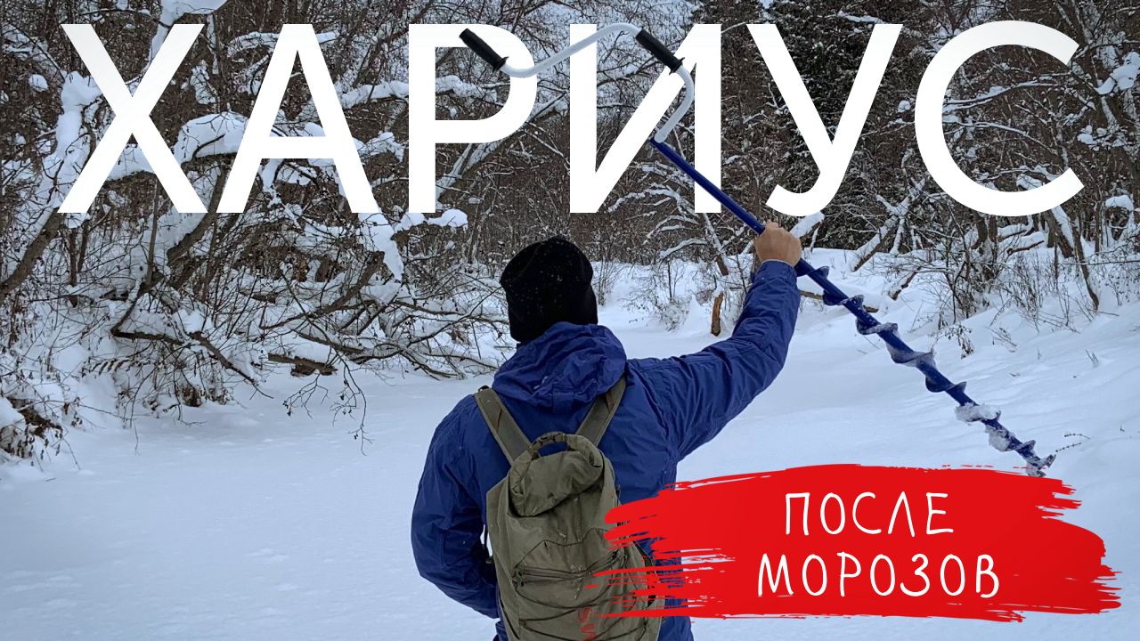 Хариус после морозов. Поиски, окрепший лед и неожиданная встреча!