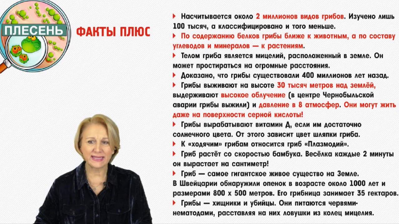 Бутакова О.А. Грибы не объявленная война