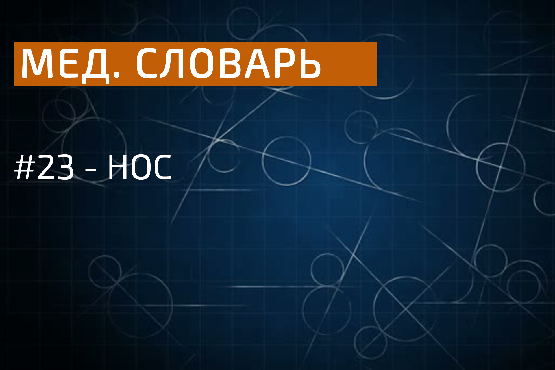 Медицинский словарь: нос
