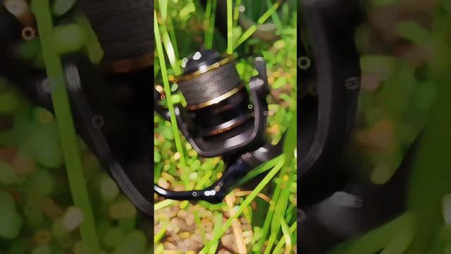 Куда мужчины тратят деньги 🤗 #fish #рыба #рыбалка #fishing #отдых #россия #spinnigsolo #лето