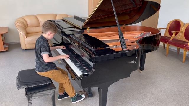 Сальников Милан / Salnikov Milan