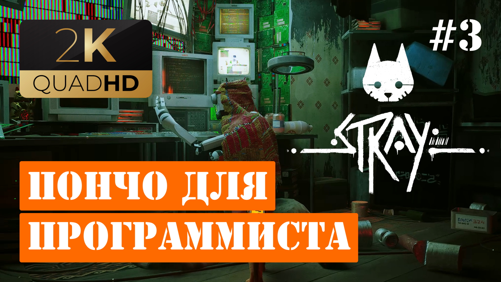 ПОНЧО ДЛЯ ПРОГРАММИСТА - Stray #3 (2K, БЕЗ КОММЕНТАРИЕВ)