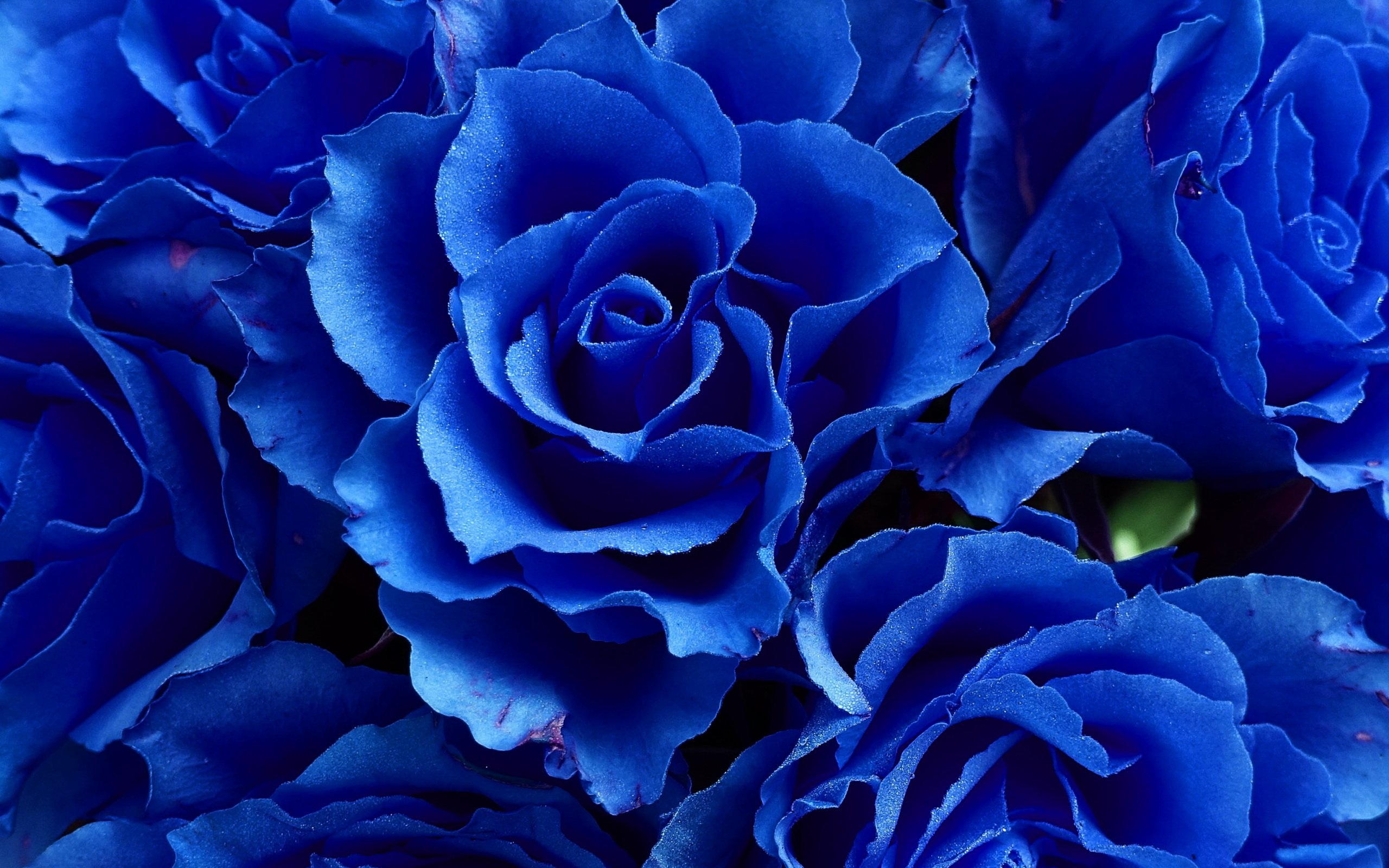 синий цвет.mp4