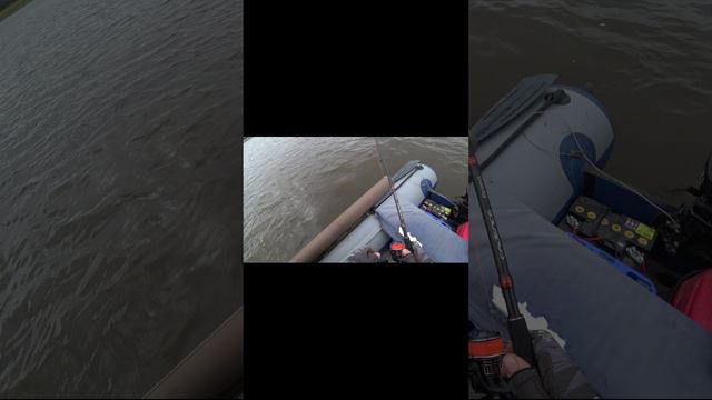 Нет ни кого!!! Саня жгёт))))) Случай с рыбой на рыбалке#shorts