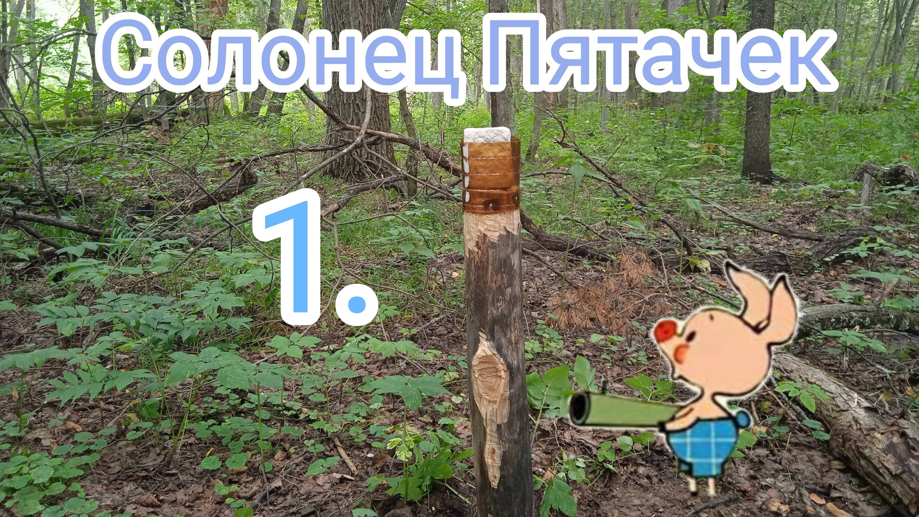 Солонец Пятачек 1