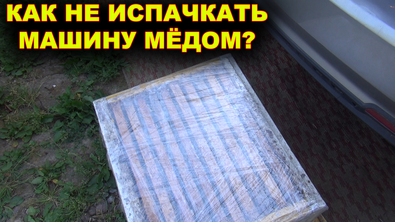 Как не испачкать автомобиль мёдом?