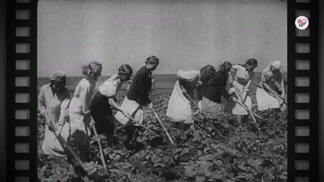 Фильм  «Воин Света» (часть 1 – «По маршруту Мастера»), посвященный Людмиле Васильевне Шапошниковой