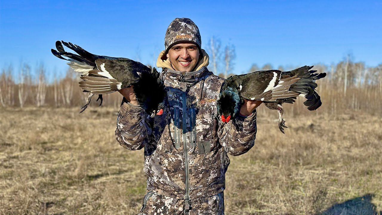 Весенняя охота на тетеревином току | Вся красота весеннего тока!