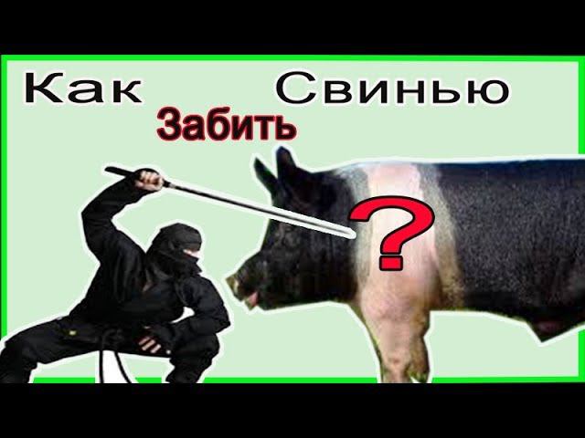 Как правильно забить свинью Жизнь в деревне How to properly slaughter a pig Village life