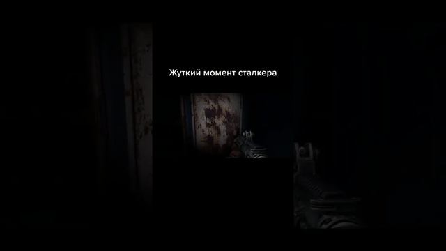 Самый_жуткий_момент_из_сталкера__сталкержуть__криповыймоментсталкер_