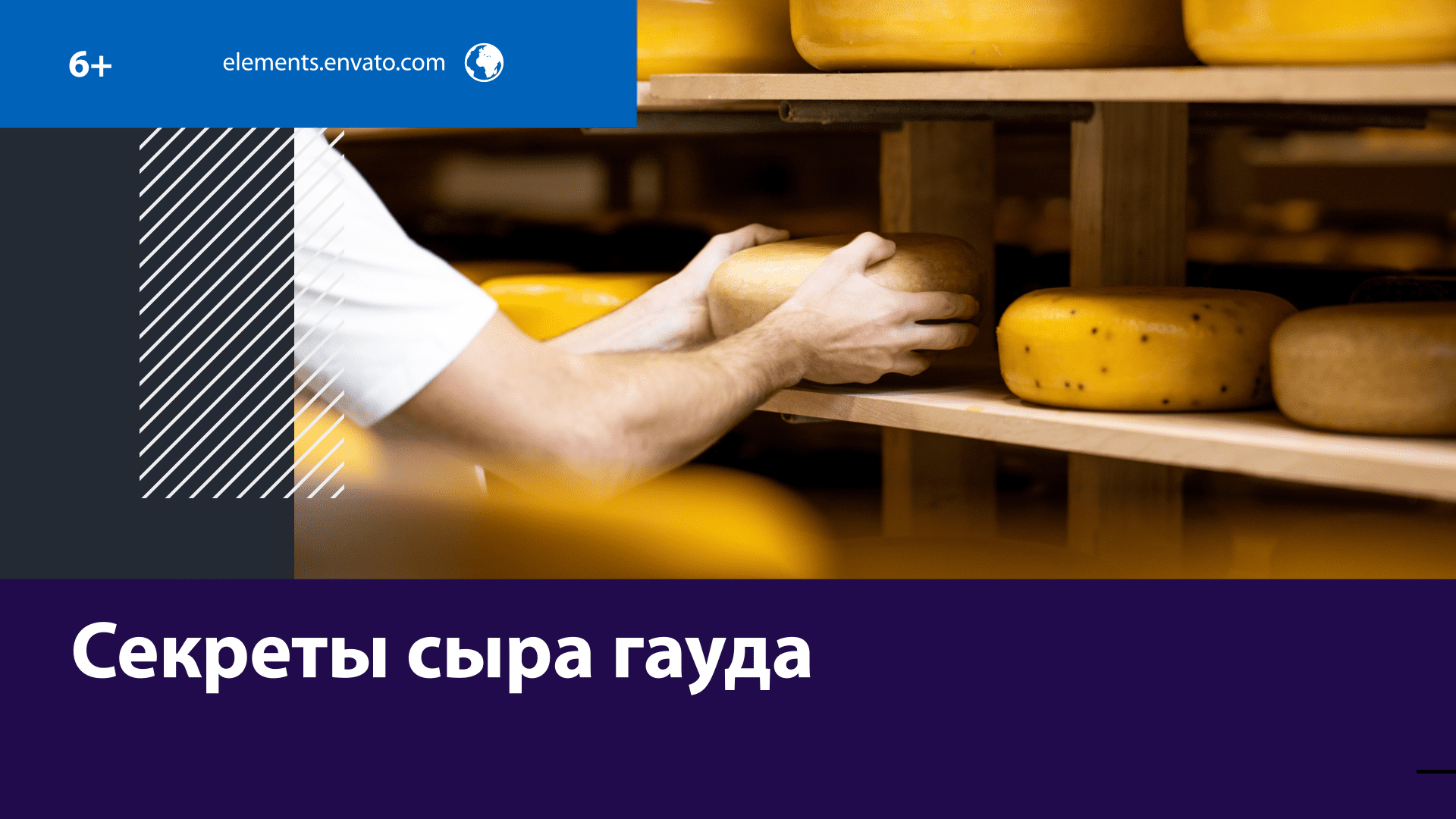 Выбираем правильный сыр гауда — Москва FM