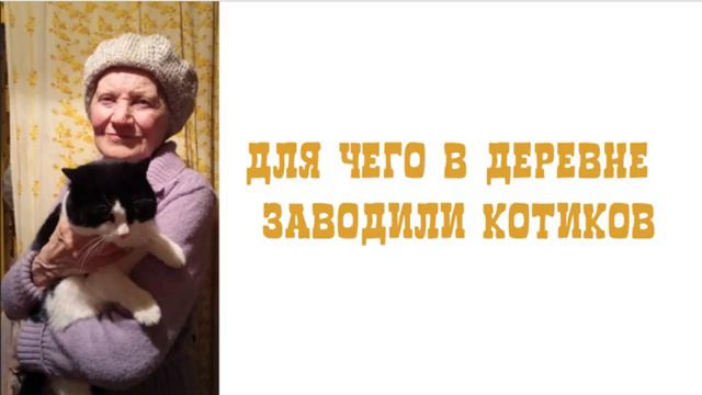 Для чего в деревне заводили котиков