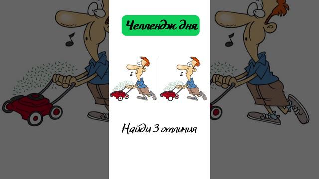 Найди отличия №2.1 Версия с ответом