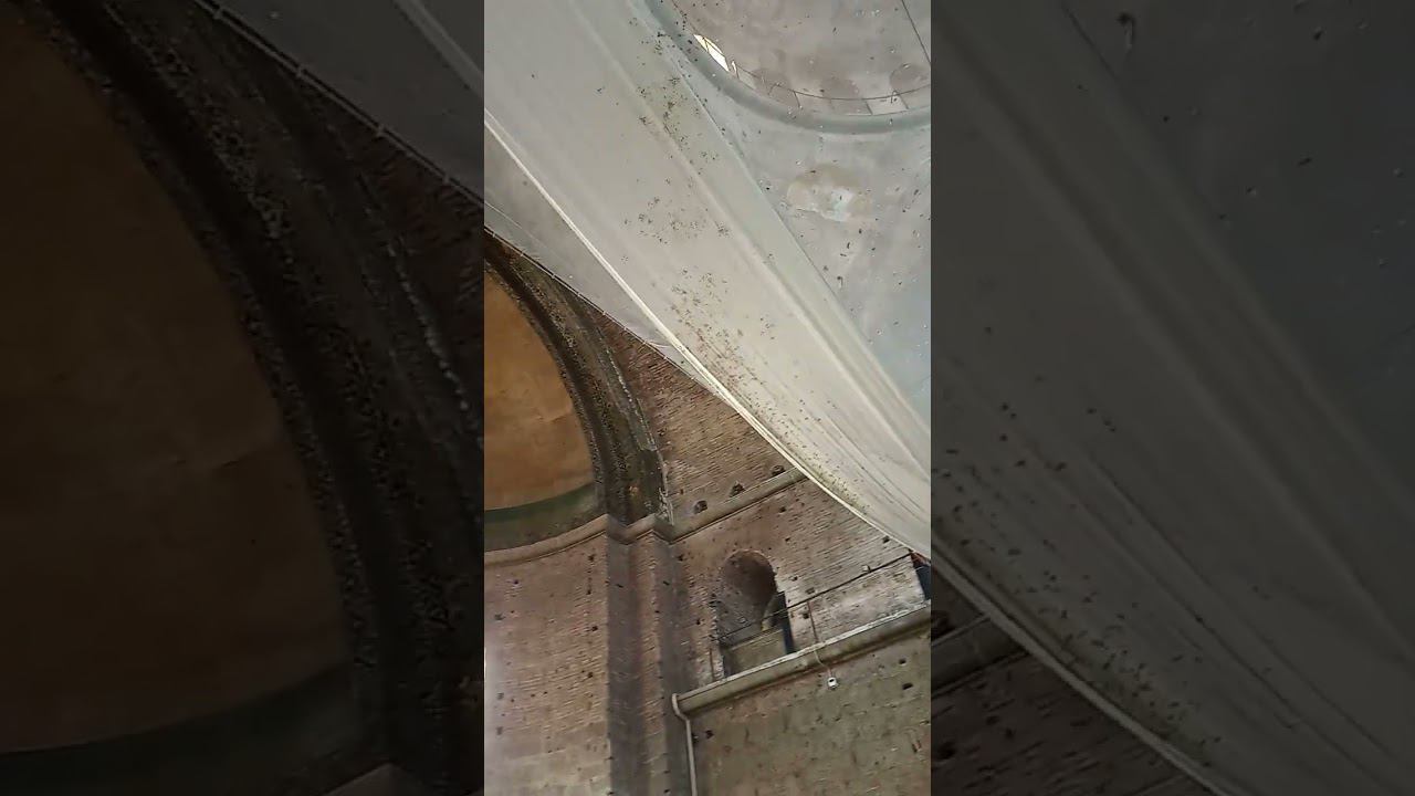 Церковь Святой Ирины