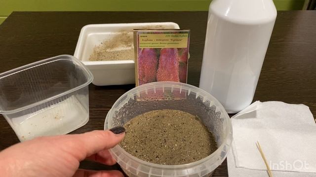 Клубника? из семян.  Миф или реальность?