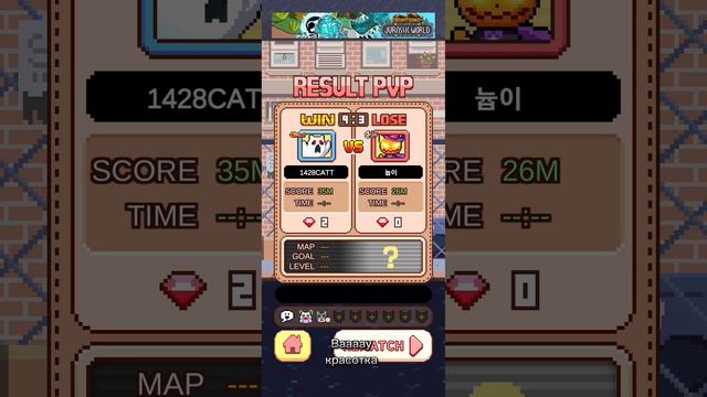 Последняя катка до новой кошки или пуш 300 очков на арене