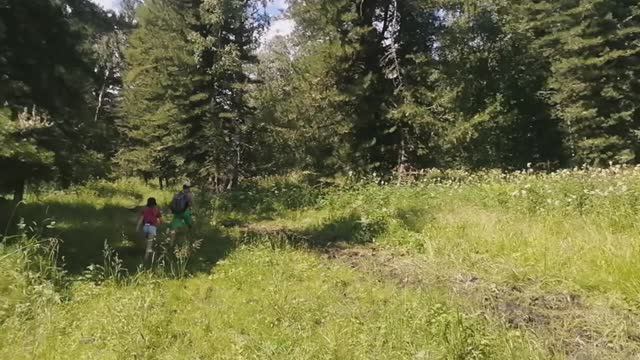 Горный Алтай 2024. Верх-Анос, поход на водопад, вечерний отдых.