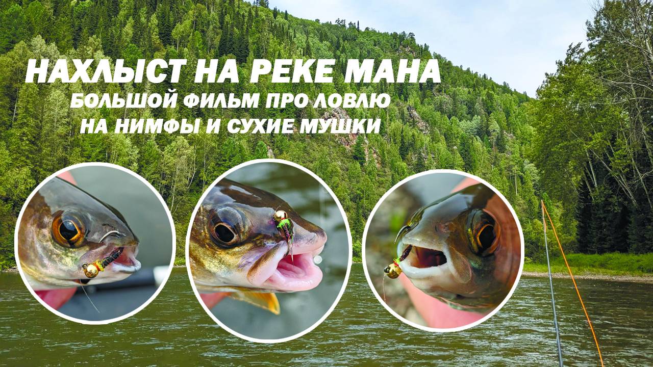 Фильм. Нахлыст на реке Мана. Ловля на нимфы и сухие мушки