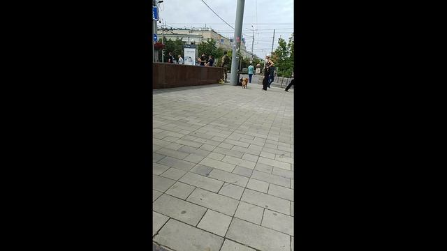 Ч.В.К Вагнер в Ростове-на-Дону.24.06.2023 год.Часть 2