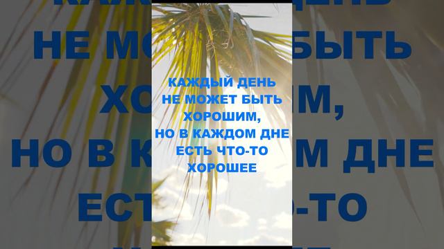 КАЖДЫЙ ДЕНЬ НЕ МОЖЕТ БЫТЬ ХОРОШИМ, НО В КАЖДОМ ДНЕ ЕСТЬ ЧТО-ТО ХОРОШЕЕ