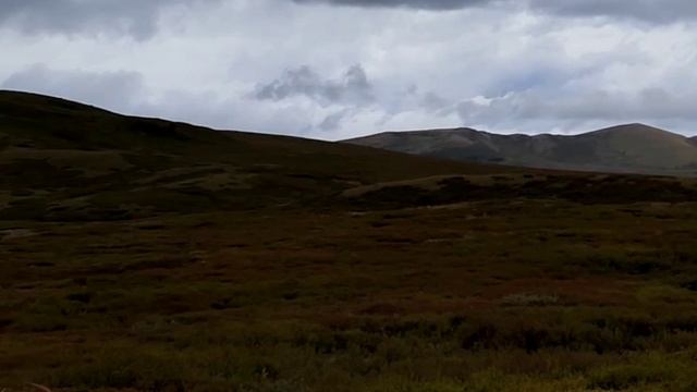 Поход на Шавлинские озёра глазами туристов! Часть 3 - конная. Путь домой.