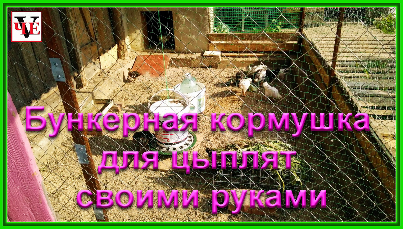Бункерная кормушка для цыплят своими руками.mp4