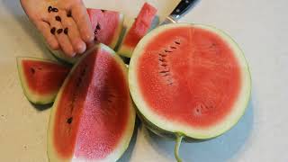 Арбуз Крисби F1 в разрезе.