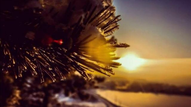 025.Региональный межнациональный песенный фестиваль-конкурс