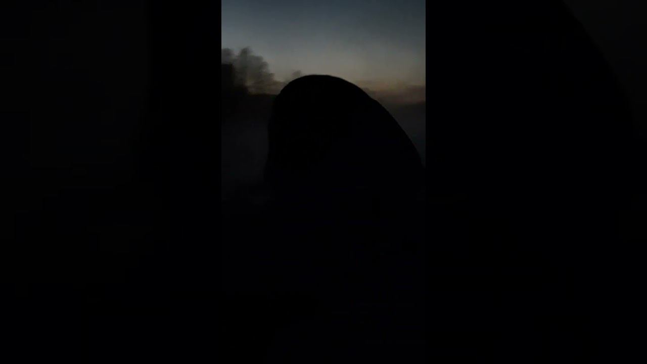 Морозная ночь и лебеди #алтай