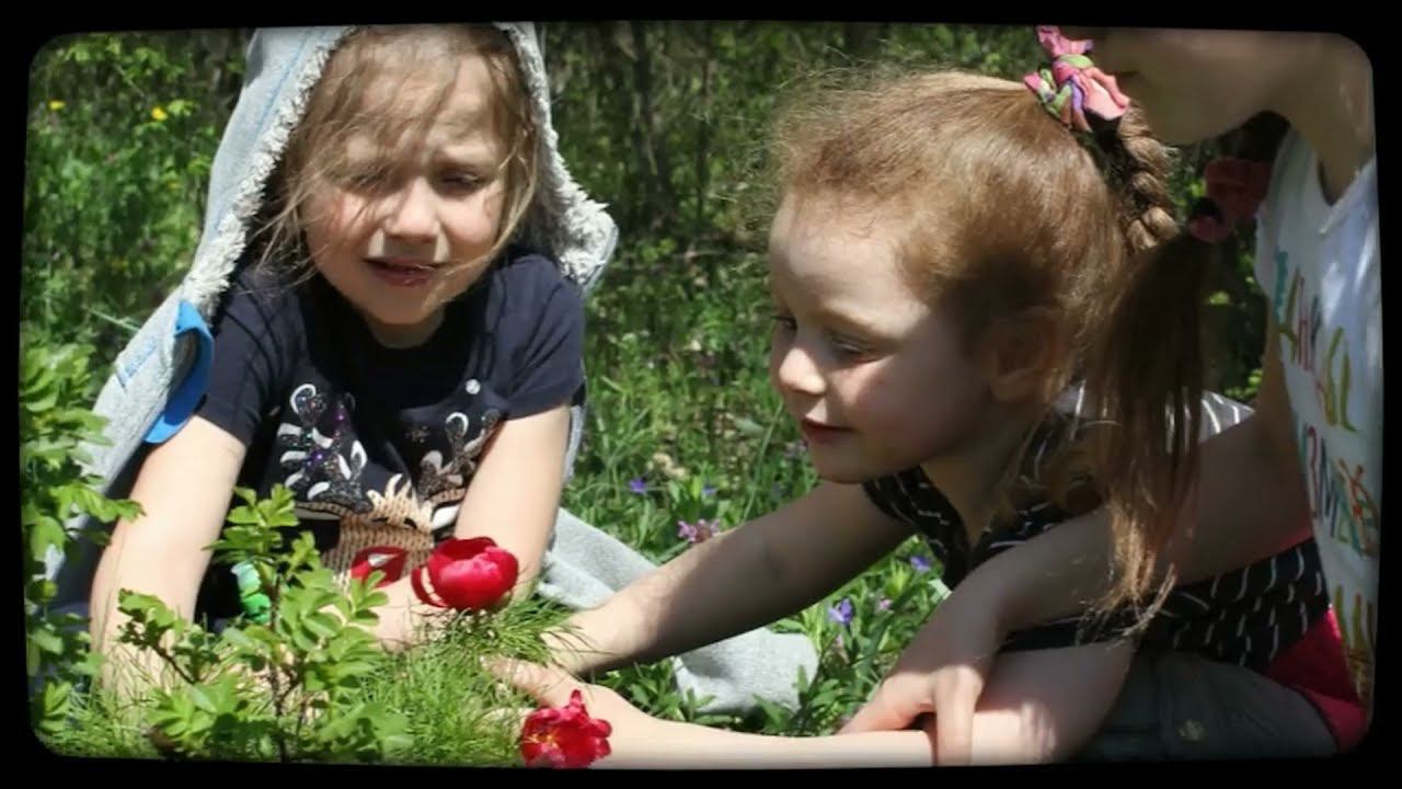 ПоХодуДела.ру в 2015 году