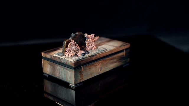 Шкатулка "Тайны окаменелого дерева"