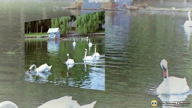 Мой город Астрахань.