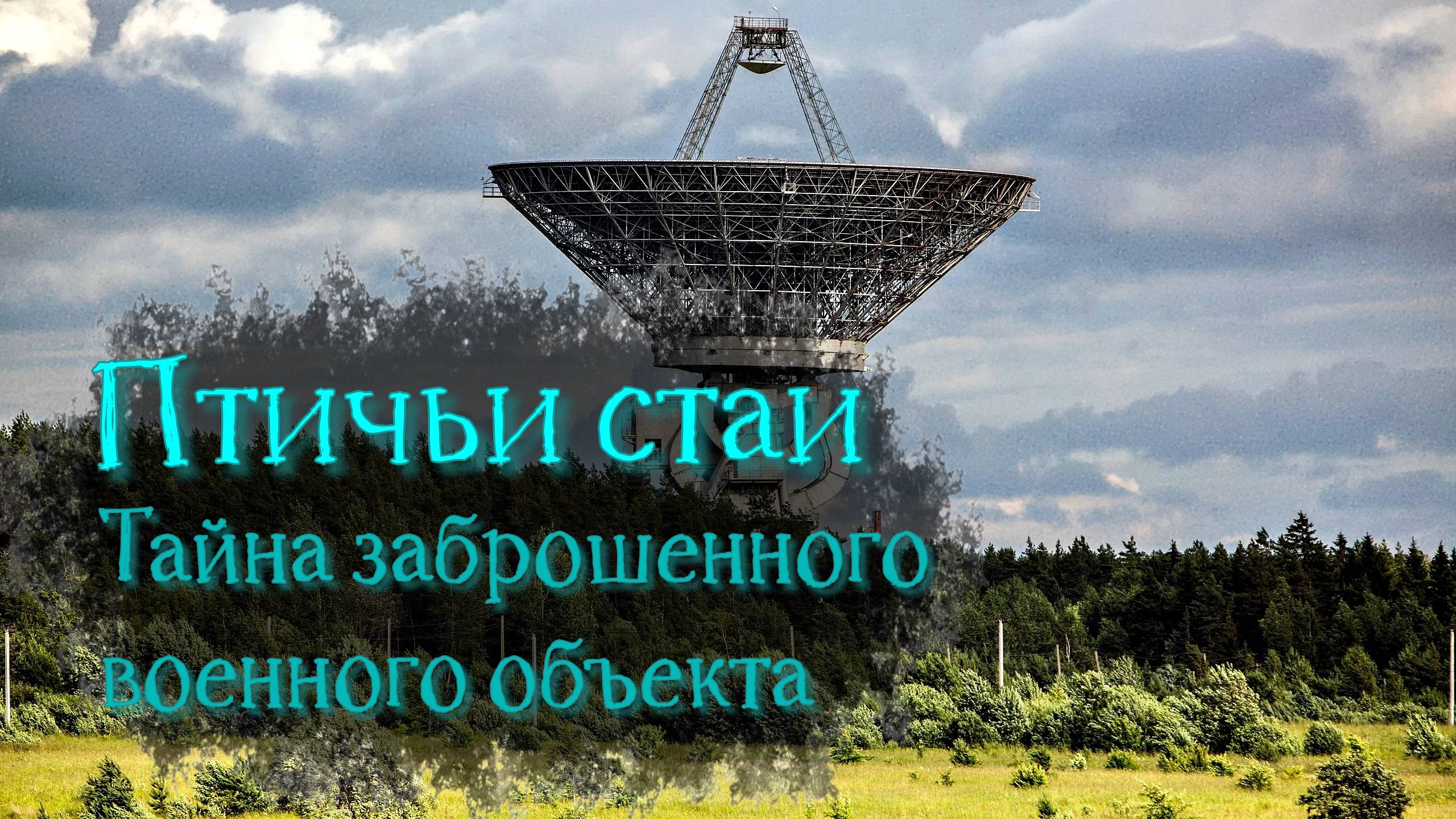 Птичьи стаи