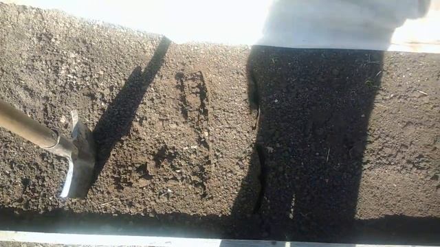 Обеззараживание почвы осенью.Триходерма,как вносить