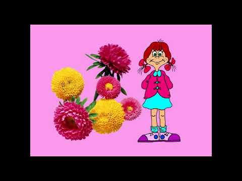 Занимательные уроки с "Лучиком света".  Энциклопедия растений для детей. Астра