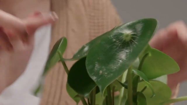 Цветочный горшок со встроенной подсветкой в семи меняющихся цветах и колонкой